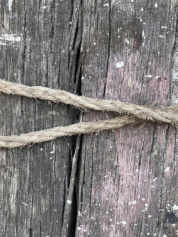 Old rope knot on old wood stock photo. Image of rope - 309115042