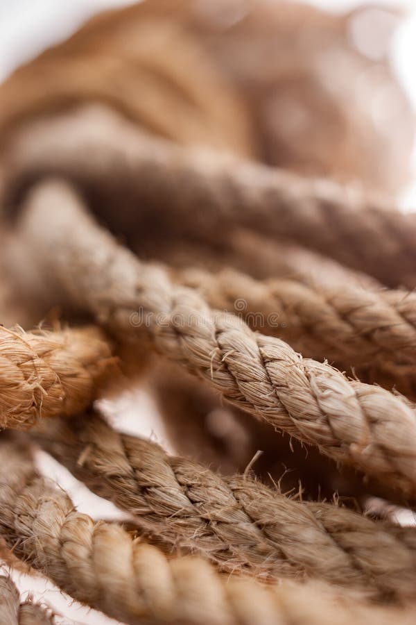 Rope of Sisal Plant, Agave Sisalana, Plantation at Fort Dauphin in ...