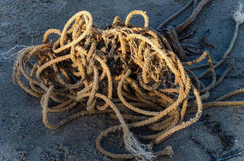 Old Rope Washed Up Contaminating Ballywalter Beach Stock Image - Image ...
