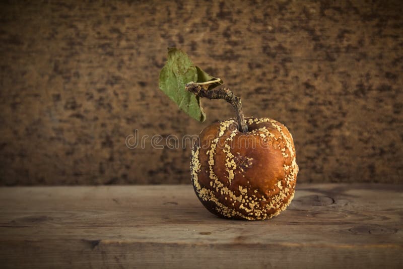 Old rotten apple stock image. Image of rural, dirty, apple - 10959221