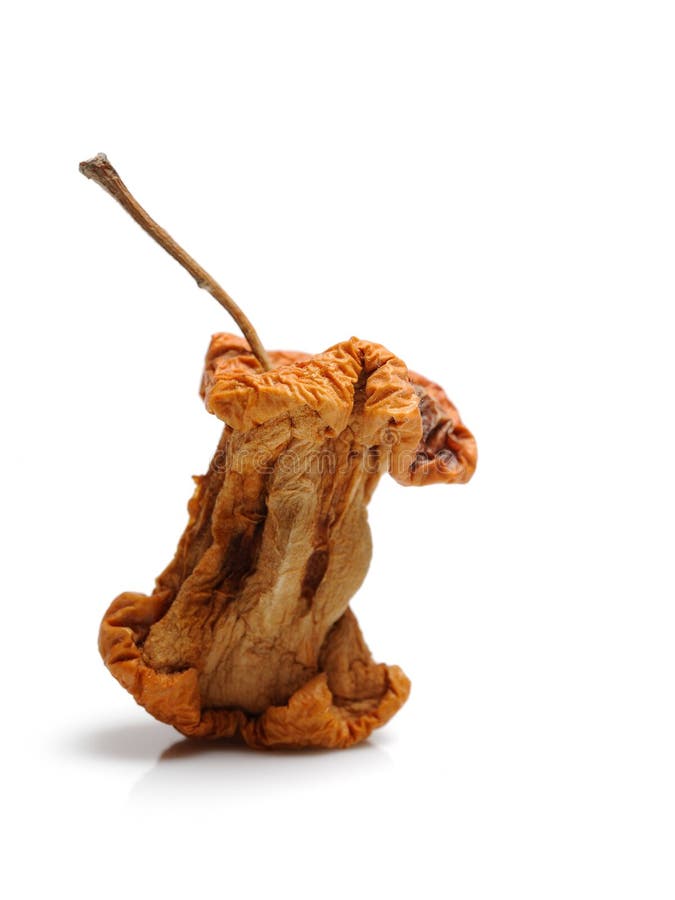 6,727 Rotten Apple Stock Photos - Free & Royalty-Free Stock Photos from ...