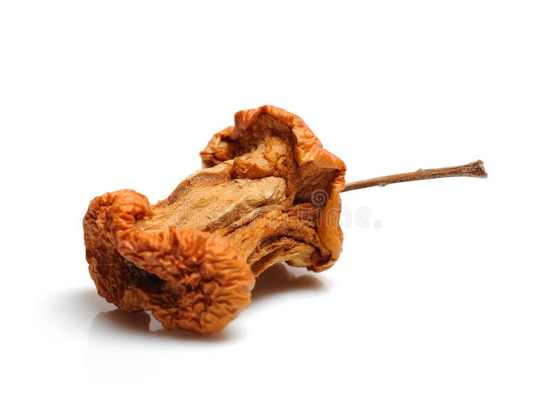 8,248 Rotten Skin Stock Photos - Free & Royalty-Free Stock Photos from ...