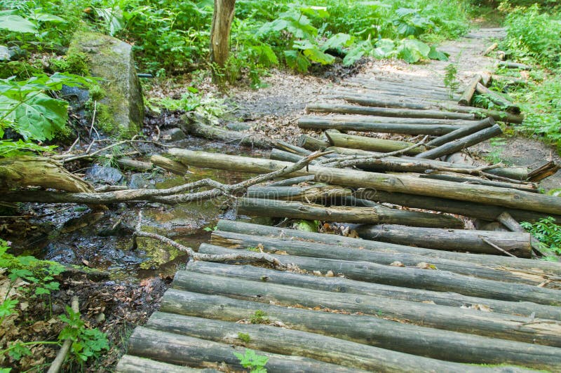 Old Rotten Bridge in the Forest Stock Image - Image of bach, light ...