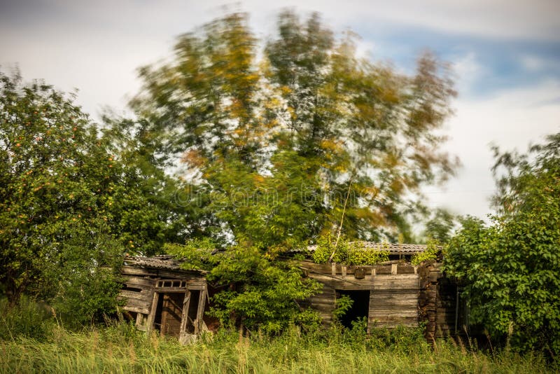 Old Rotten House Left To Decay in the Woods Stock Image - Image of ...