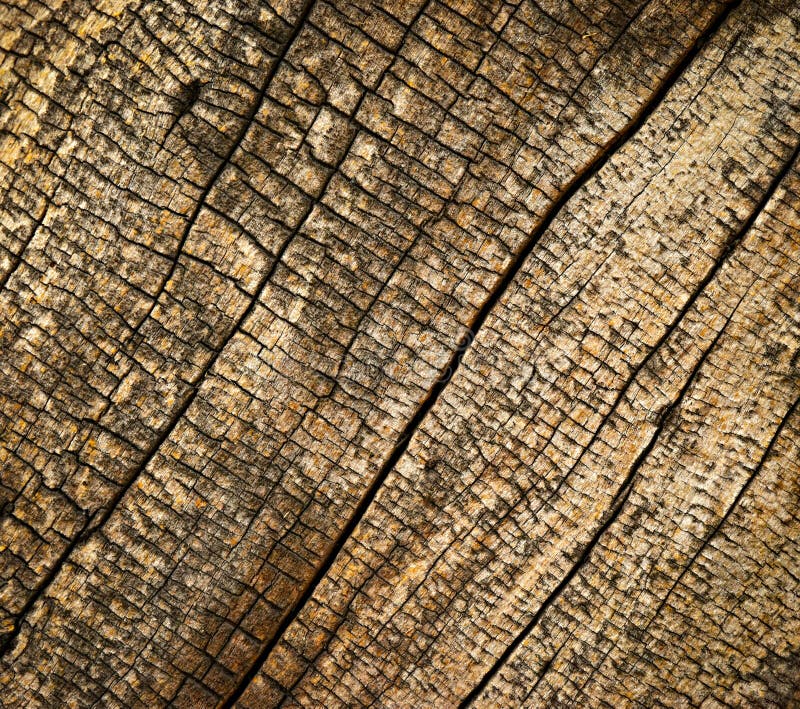 Dark Old Rotten Wood Background Texture Stock Photos - Download 1,120 ...
