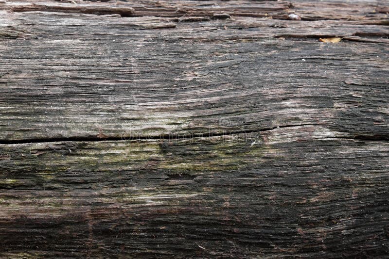 Old Rotten Wood As a Backdrop. Wood Texture Stock Image - Image of ...