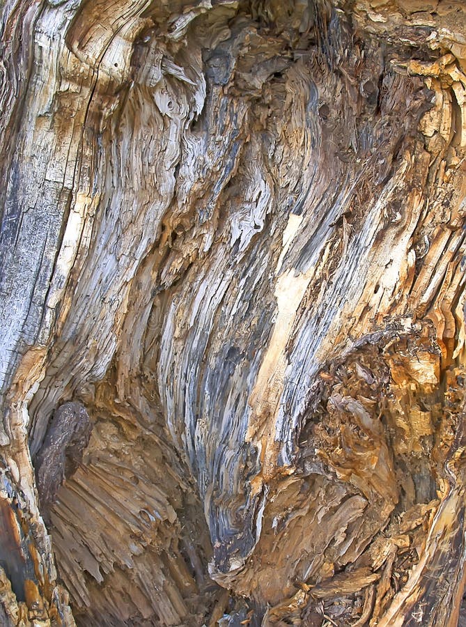 Old rotten wood background stock photo. Image of desk - 336044548