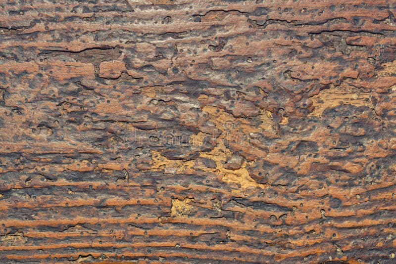 Old Rotten Wood Texture or Background Stock Image - Image of antique ...