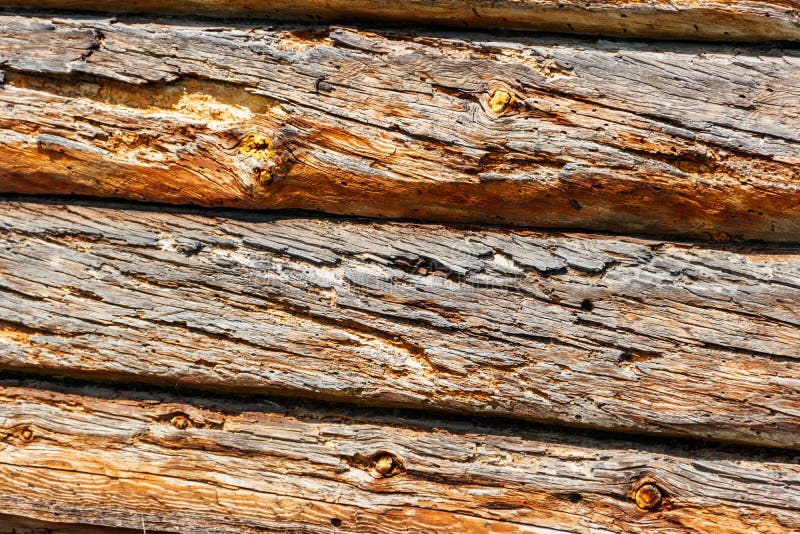 Old Rotten Wooden Boards Texture for Background Stock Photo - Image of ... Old Rotten Wooden Boards Texture for Background Stock Photo - Image of ...