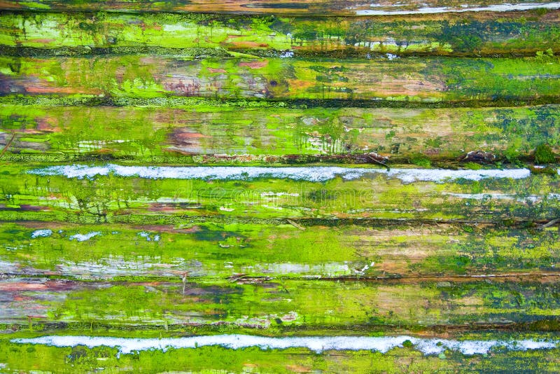 Old Rotten Wooden Wall Background Stock Photo - Image of background ...