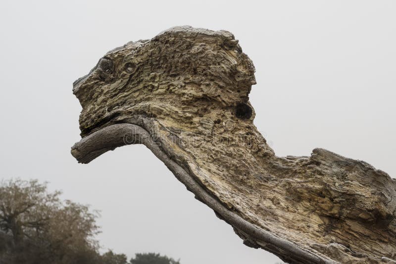 Log monster stock image. Image of monster, landscape - 263604431