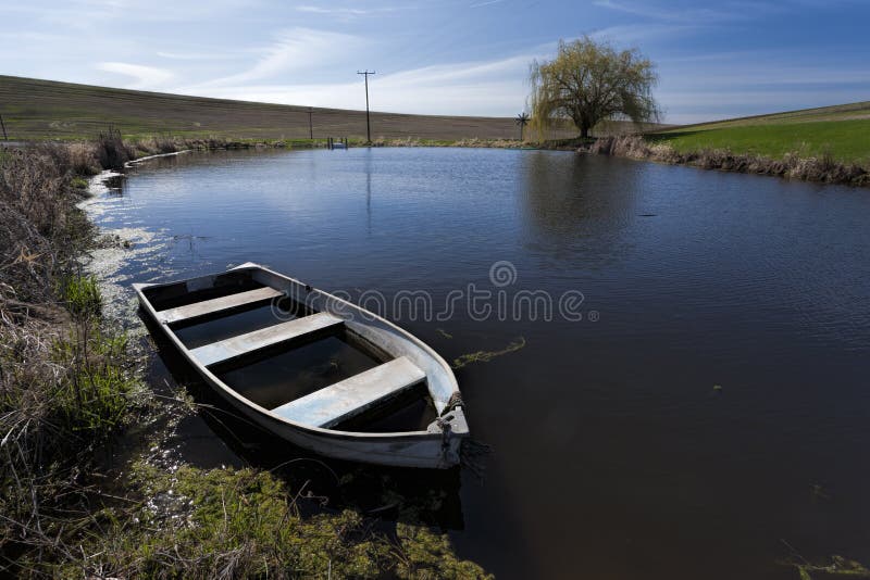 Old Row Boat in a Small Pond. Stock Image - Image of landscape, rural ...