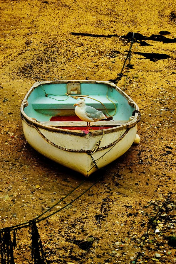 Old rowing boat. stock photo. Image of beach, boat, sailing - 6252422