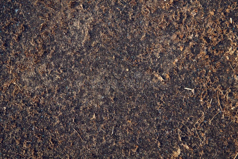 The Old Rubber Coating for Sports. Closeup Texture, Rubber Stock Image ...