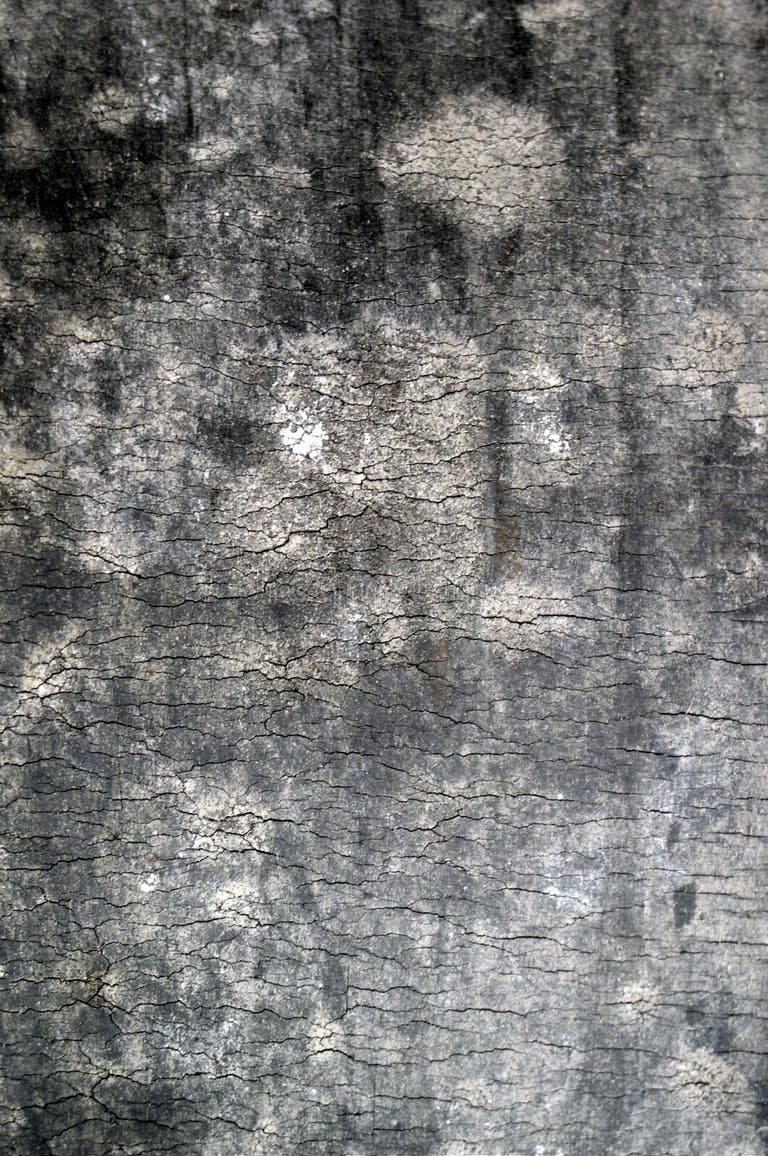 7,999 Old Dirty Plastic Texture Stock Photos - Free & Royalty-Free ...