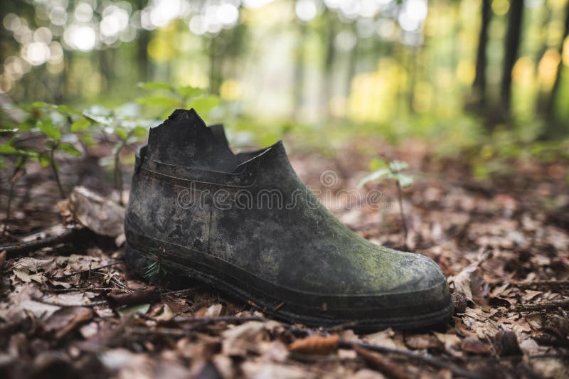 Old Rubber Torn Boot Left in the Forest Stock Photo - Image of outdoor ...