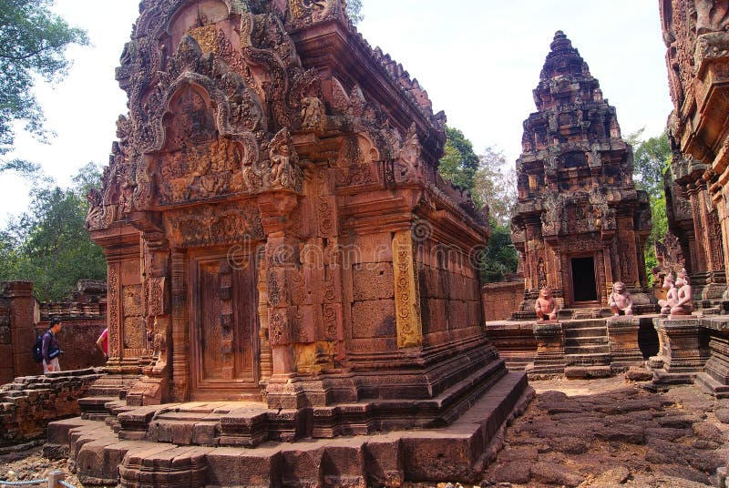 Old Ruin editorial image. Image of place, structure, tree - 82427550