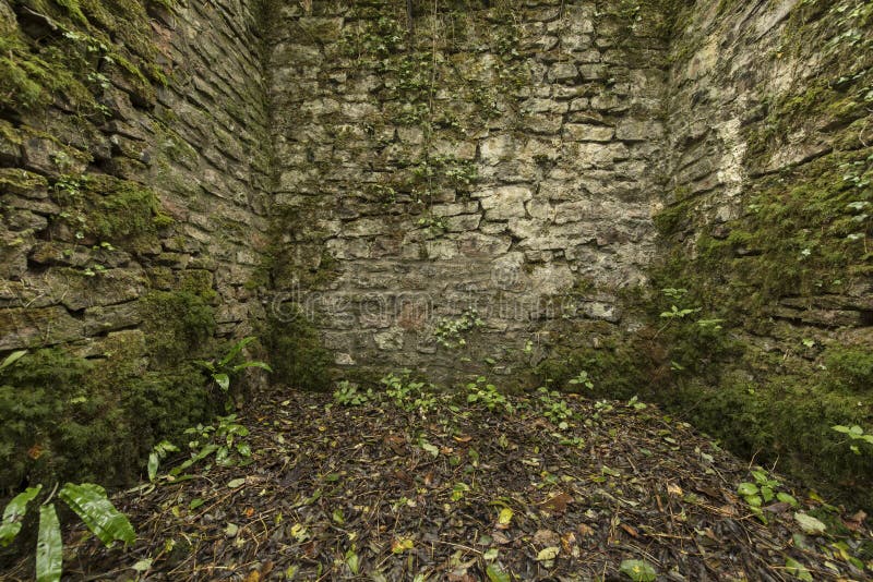 Room Ruins in Castle Walls stock photo. Image of moss - 47874500