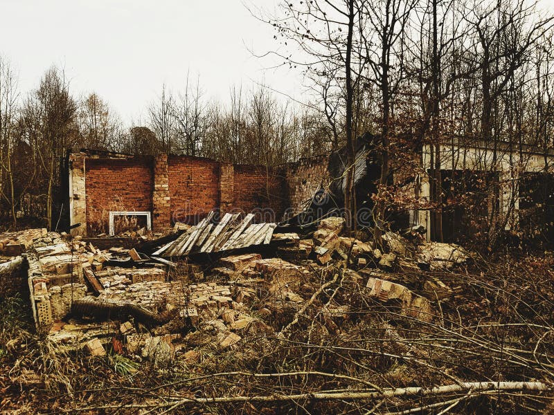 Old ruins decay and leave stock photo. Image of swimming - 108591326