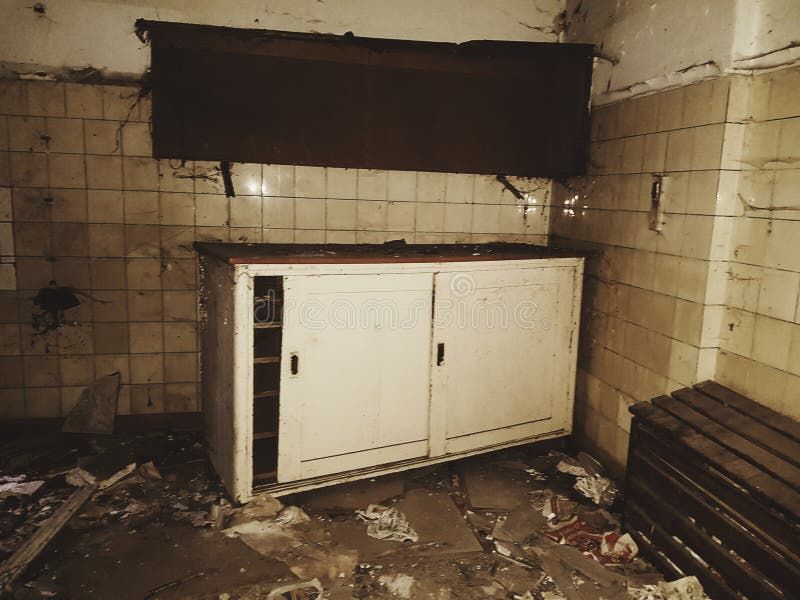 Old ruins decay and leave stock photo. Image of sephia - 108604778