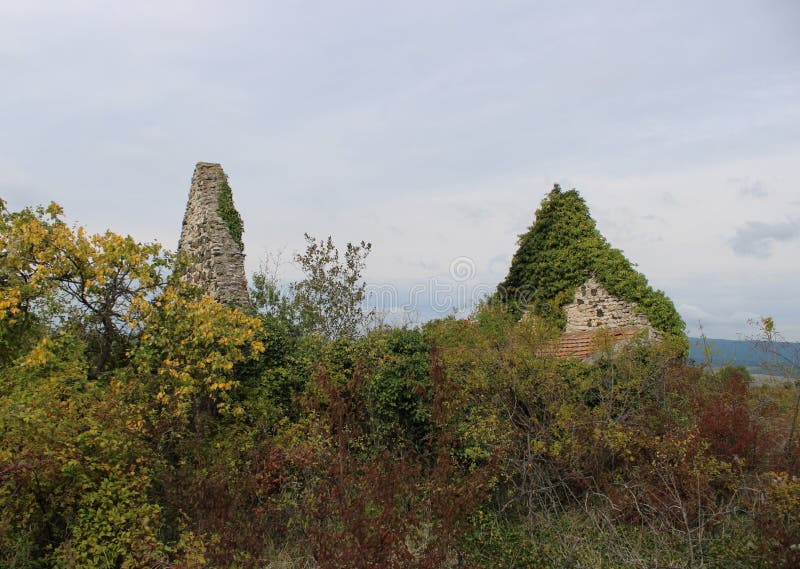 Old ruins with plants stock photo. Image of beautiful - 202728016