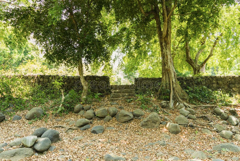 Rock stairs in the forest stock photo. Image of adventure - 112857712