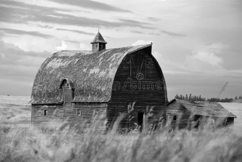 Old run down Barn stock photo. Image of morning, early - 69458374