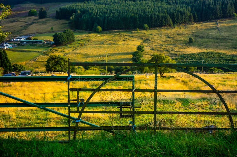 Old Rural Gate in the Wicklow Mountains Stock Image - Image of forest ...
