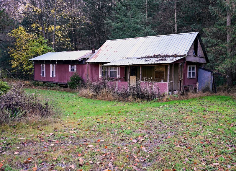 Old Rural House Nestled in a Peaceful Forest Setting Stock Photo ...