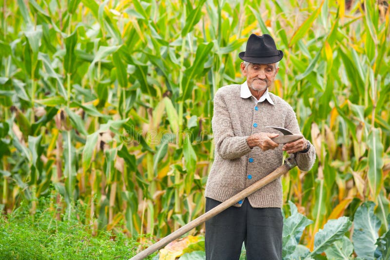 Old rural man using scythe stock photo. Image of backyard - 16014398