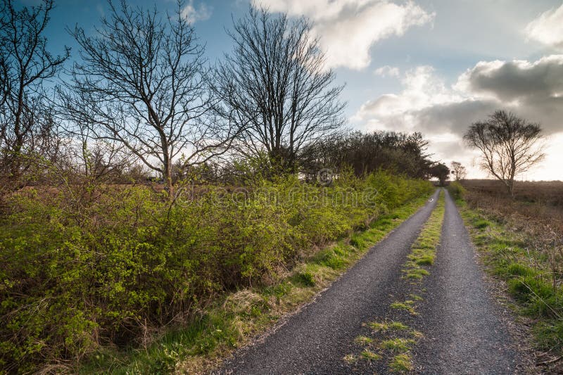Old Rural Road in the Irish Countryside Stock Image - Image of green ...