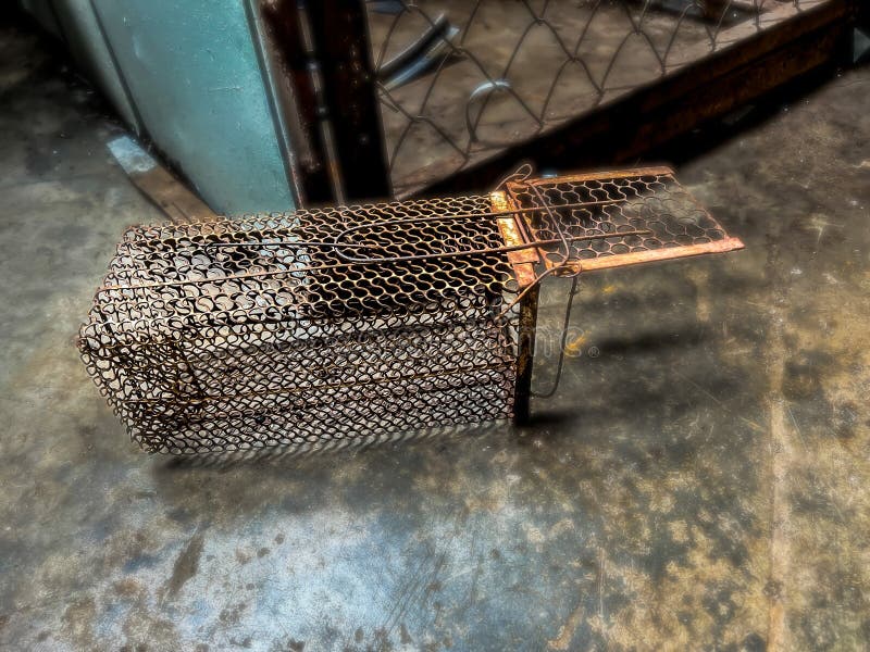 Rust Rattrap Stock Photos - Free & Royalty-Free Stock Photos from ...