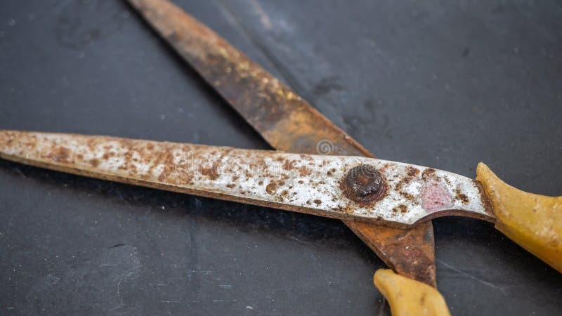 Scissors Locked on a Padlock Stock Photo - Image of metal, background ...