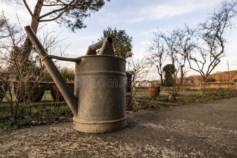 Old and Rust Water Can on a Wild Garden Meadow Stock Photo - Image of ...