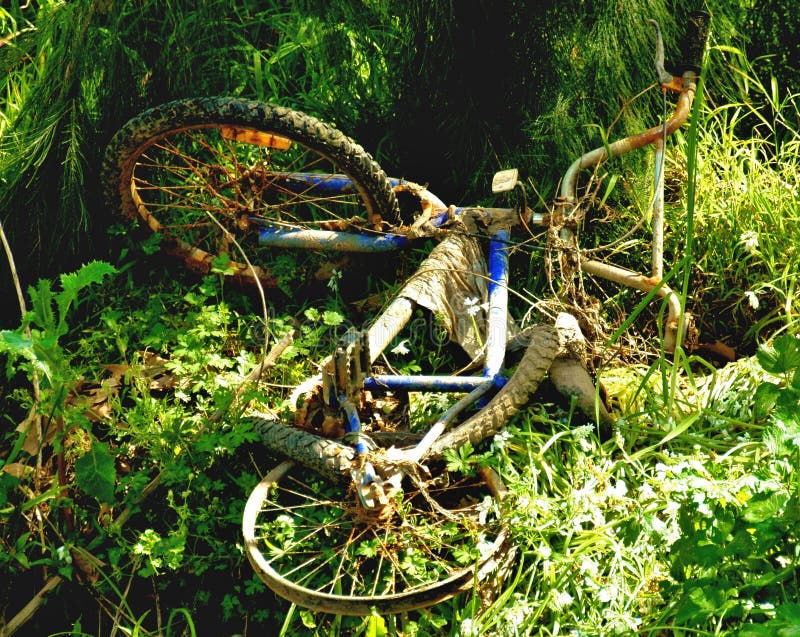 Old Rusted Bike Dumped in Bushes Stock Image - Image of trash ...