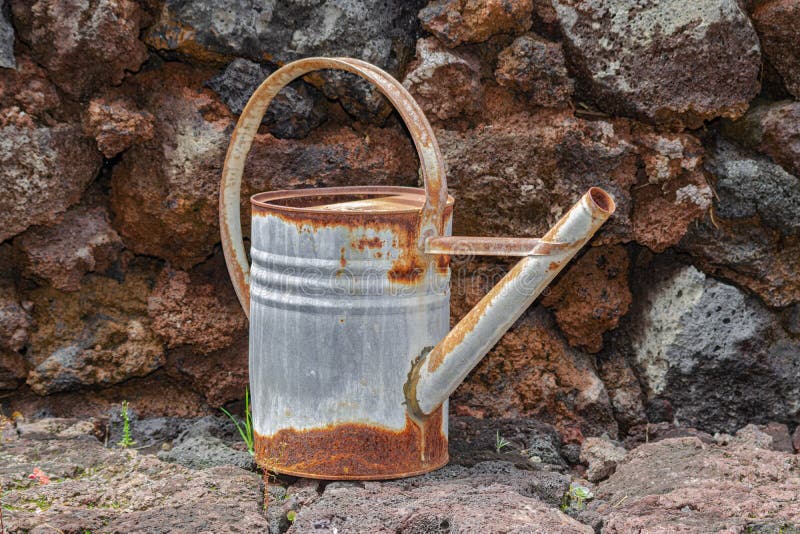 Old Rusted Metallic Watering Can Stock Image - Image of botany, floral ...