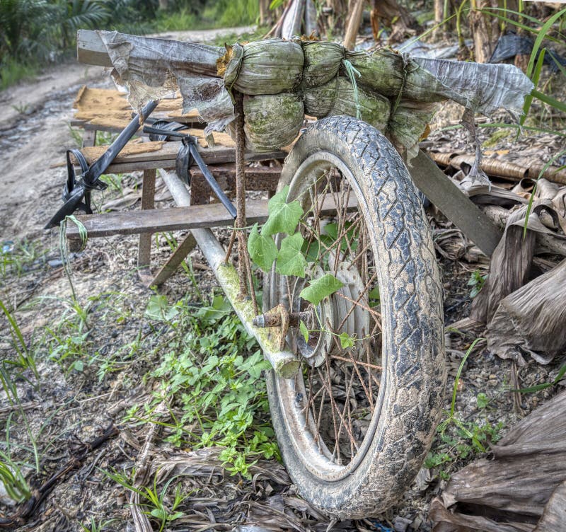 190 Rusted Trolley Stock Photos - Free & Royalty-Free Stock Photos from ...