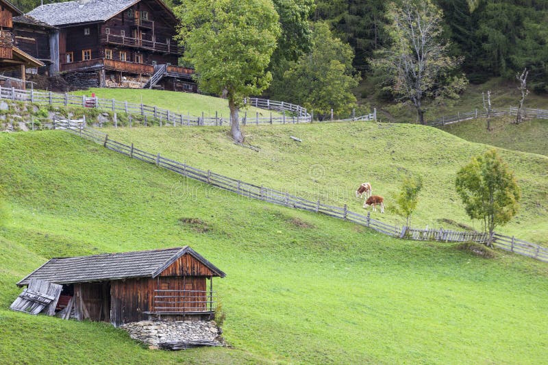 Old rustic alp farm stock photo. Image of beauty, matrei - 25910550
