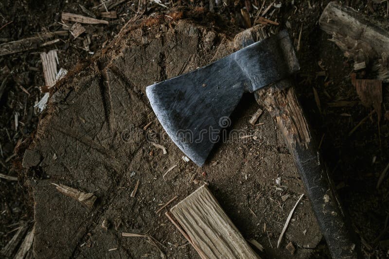 Old Rustic Ax on Wood Stump Stock Image - Image of handle, sawdust ...