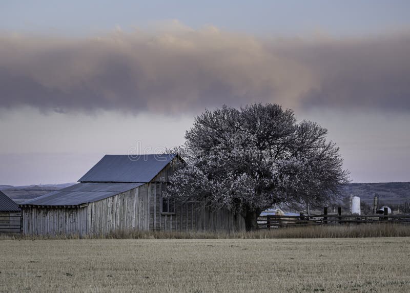 Old Rustic Barn in the Springtime Stock Photo - Image of spring, rustic ...