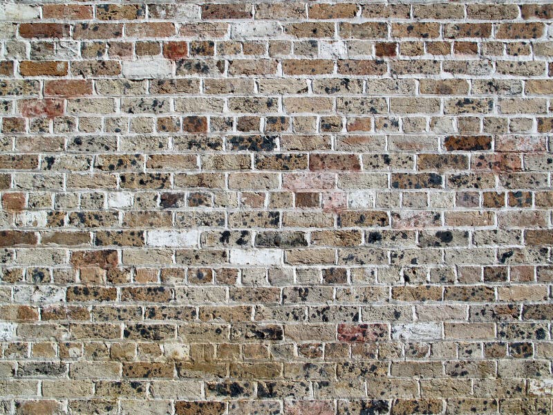 Rustic Brick Home Designs