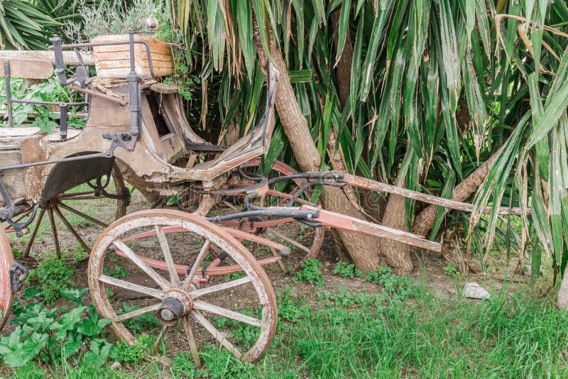 Old carriage in the grass stock photo. Image of vehicle - 133020666