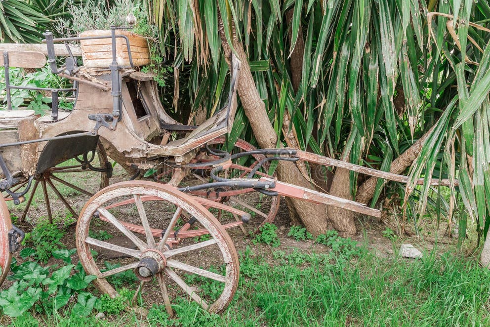 Old carriage in the grass stock photo. Image of vehicle - 133020666