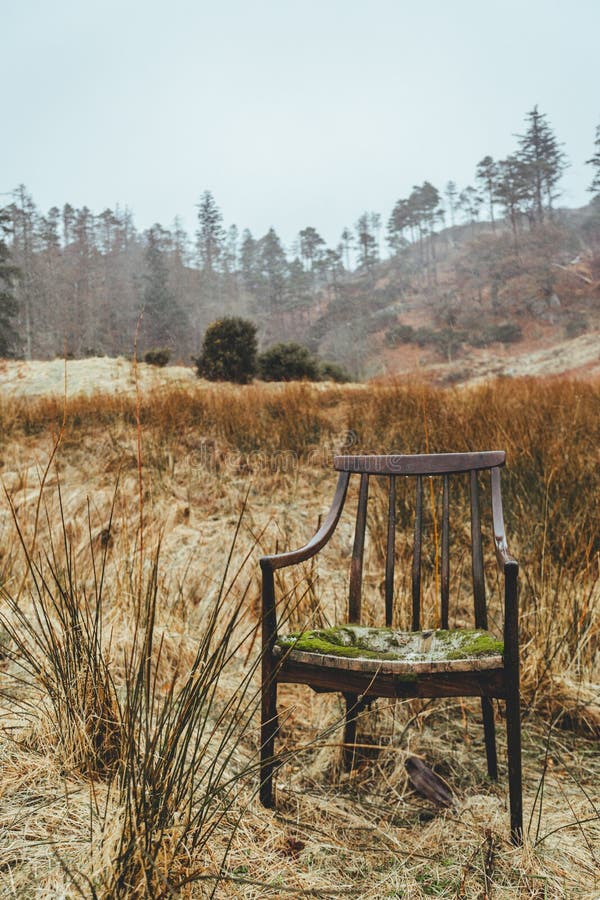 Old Rustic Chair Left in a Field Stock Photo - Image of highland ...