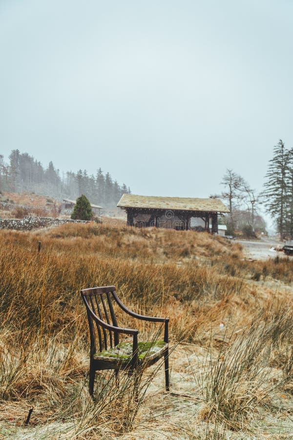 Old Rustic Chair Left in a Field Stock Image - Image of north ...