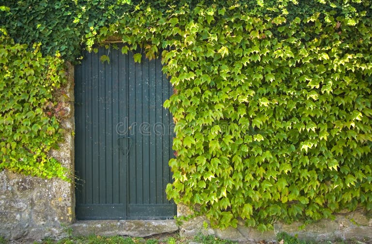 53,814 Old Rustic Door Background Stock Photos - Free & Royalty-Free ...