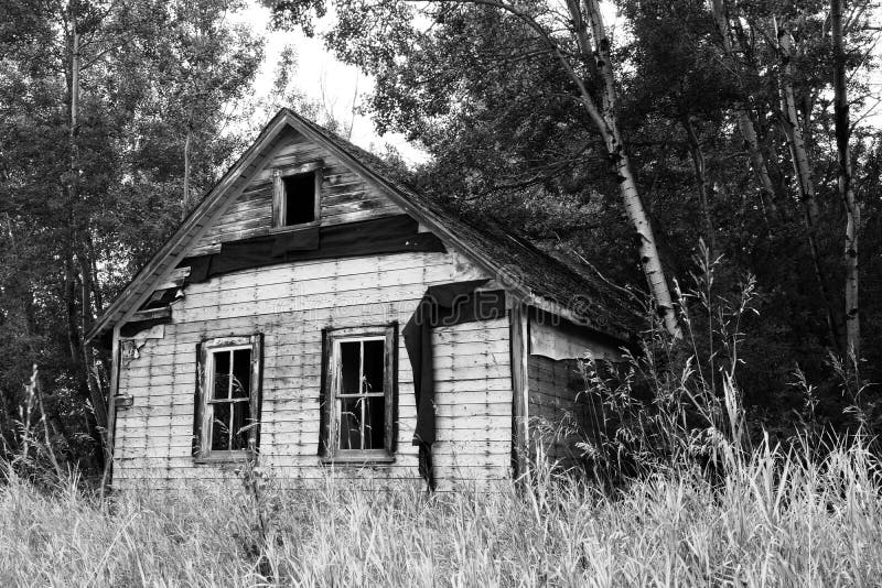 Old Rustic Homestead stock photo. Image of historic, homestead - 98904940