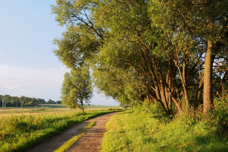 Old Rustic Road in a Field at Sunset Day Stock Image - Image of meadow ...