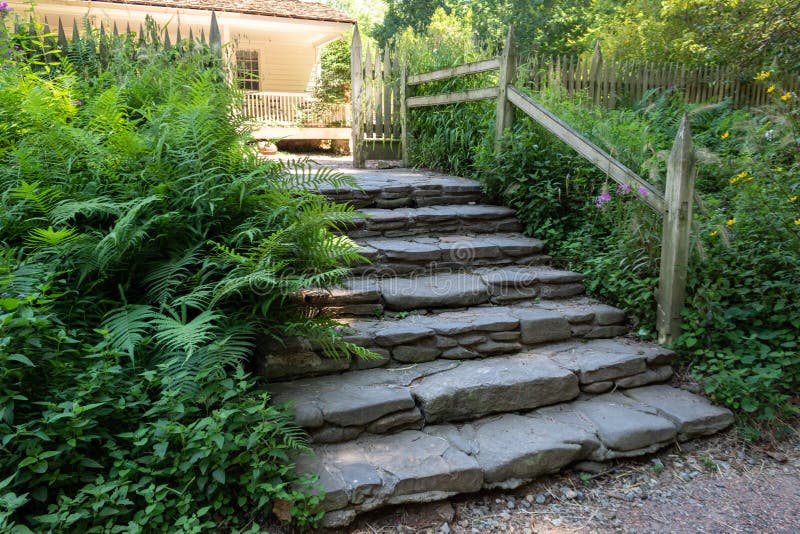 Old Rustic Stone Stairs Bordered with Ferns and Wildflowers Stock Image ...