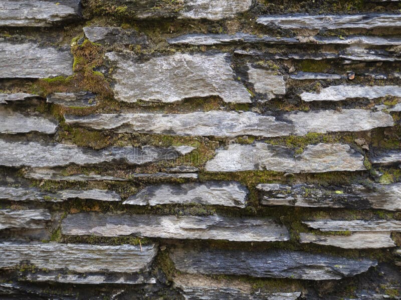 Textured Rough Stone Wall with Moss and Lichen Background Stock Image ...